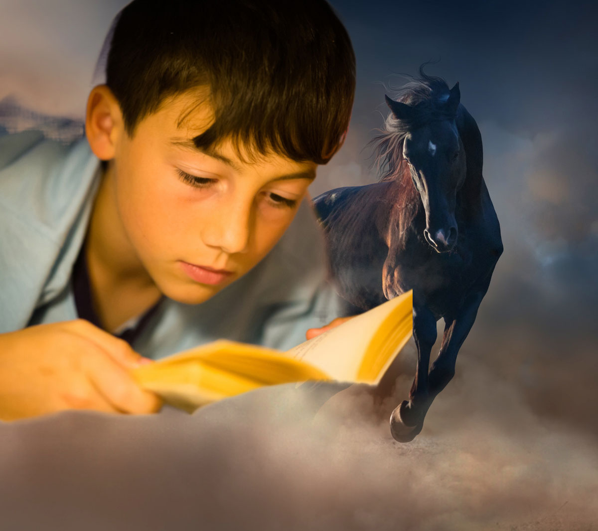 Black Stallion Reading Project | Ocala Horse Alliance